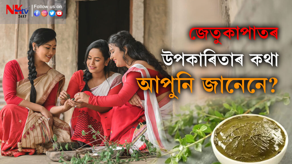 Know the Henna Plant facts and health benefits